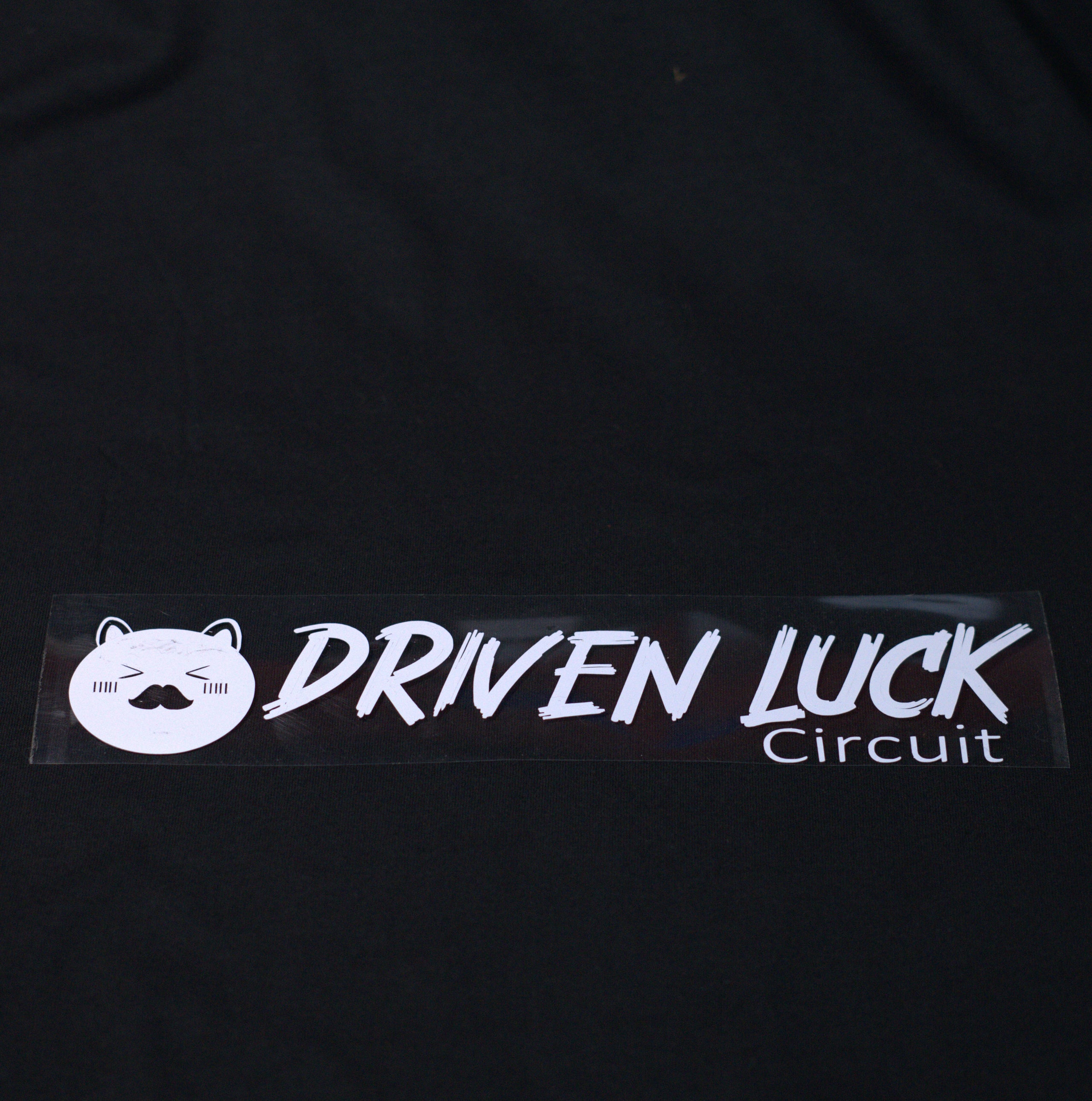 Small Landscape Fat Cat | Driven Luck Circuit